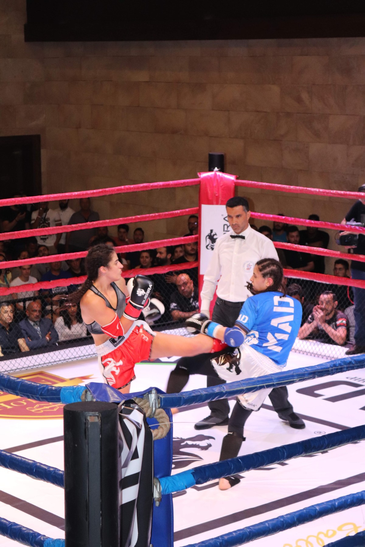 Sandra Succar – Al Rawiya